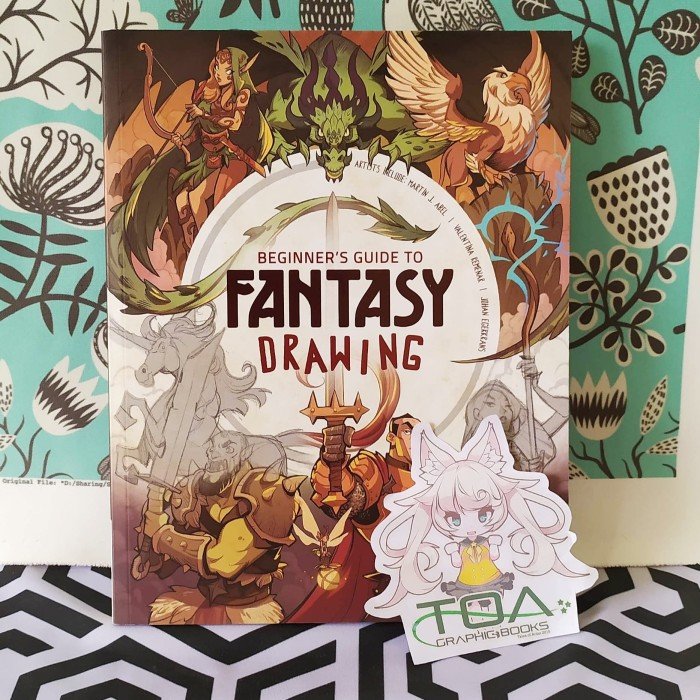 Beginner Guide to Fantasy Drawing – TOA Graphic Books