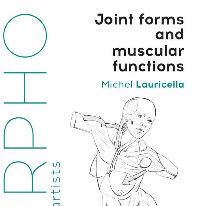 MORPHO – Joint Forms and Muscular Function Anatomy – Michel Lauricella – TOA Graphic Books