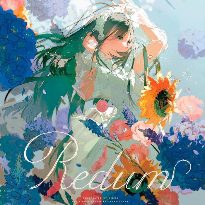 Redum Illustration Collection Artbook – TOA Graphic Books