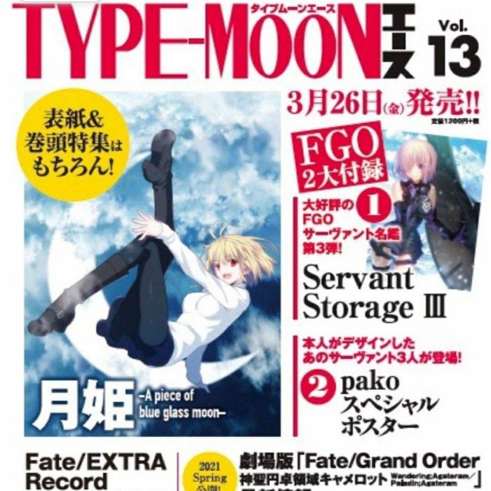 TYPE MOON / CHALDEA ACE 13 – Incl Servant Storage Vol 3 + Pako Poster ...