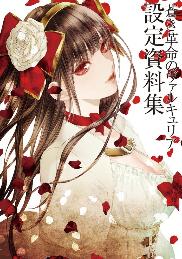 Valkyria Revolution Artbook – TOA Graphic Books