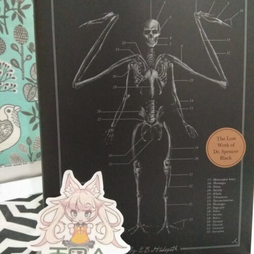 Anatomy of Mythical Creature Reference Book – The Ressurectionist – TOA ...