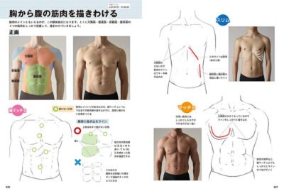 How to Draw Men Muscle from Slim to Macho Body Type – TOA Graphic Books