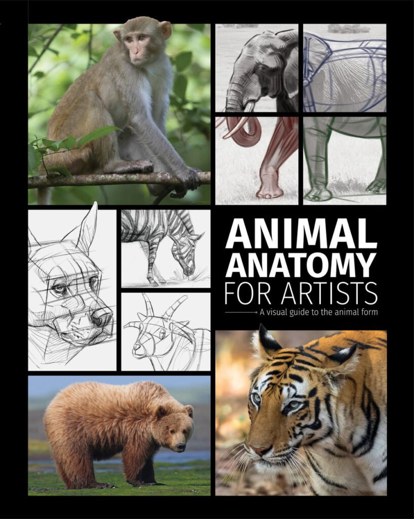 Animal Anatomy For Artists 3D Total – A visual guide to the animal form ...